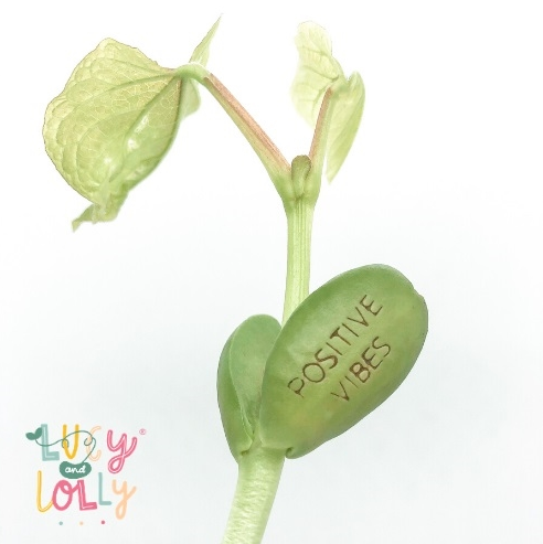 Card With Magic Growing Bean - Believe In Yourself